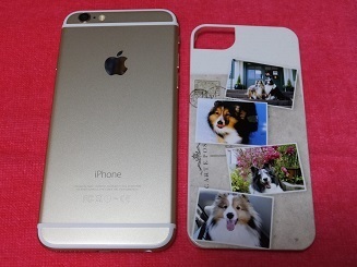 薄くて軽いポーチが欲しい・公園ジョグ5km: ぽち走る